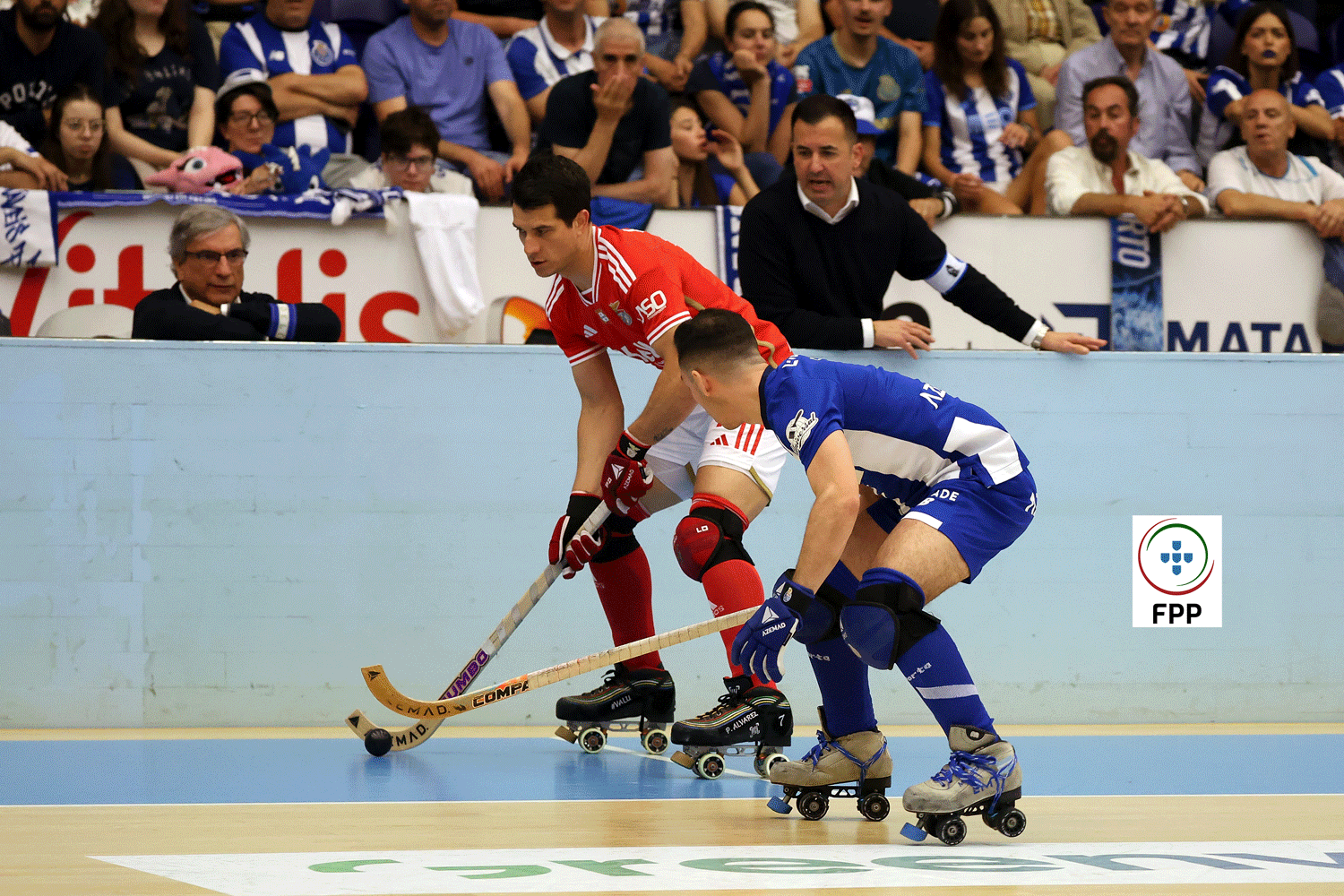 Benfica-Porto, 2º jogo do Playoff do Campeonato Placard com “dragões ...